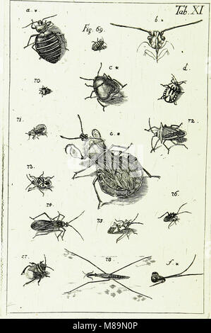 'Die Kennzeichen der Insekten' (1761) de Karl Linnaeus discute des ...