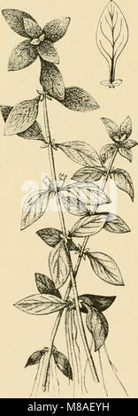 'Races de poissons rouges et autres poissons d'aquarium' est un guide ...