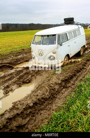 Mit historischen VW-Bussen vom Typ T1 (Baujahre 1950 bis 1967) ist eine ...
