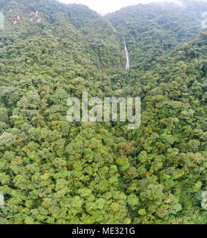 Cascade de la forêt tropicale amazonienne dans panorama avec Big River ...