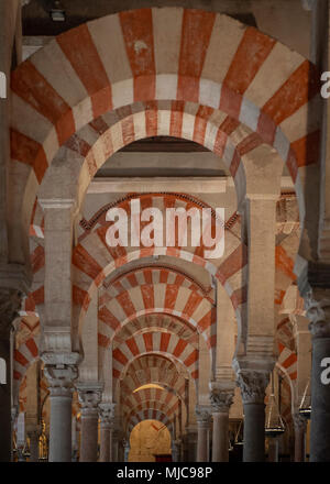 Hall à colonnes avec arcades en style mauresque, salle de prière de l ...