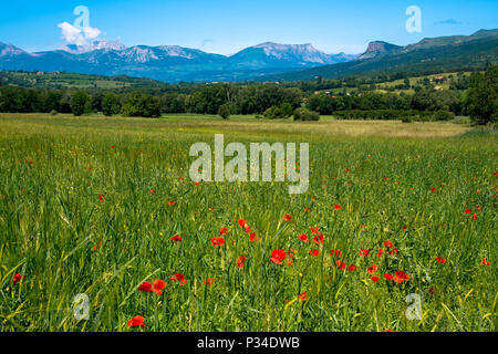 La ville de Gap Hautes Alpes en été. Vue panoramique. Alpes du Sud ...