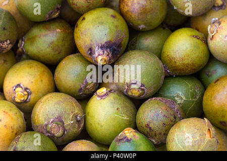 Aquidauana-MS Macaúba macaiba-baboso bocaiúva coco Coco de espinho ...