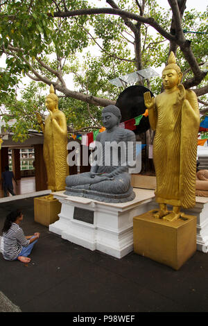 Statues de Bouddha au bord de lac Seema Malaka temple à Colombo, Sri ...