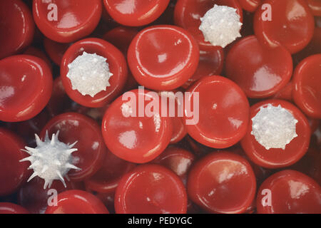 Les globules rouges, les leucocytes ou globules blancs, sont les ...