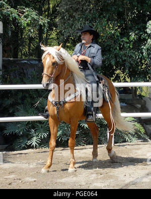 Joan Sebastian monte son cheval à Cuernavaca, Morelos. José Manuel ...