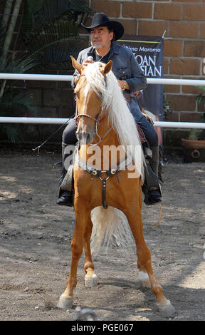 Joan Sebastian monte son cheval à Cuernavaca, Morelos. José Manuel ...