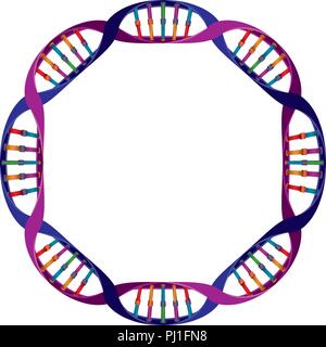 La chaîne d'ADN circulaire l'icône colorée de la science Image ...