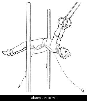 La gymnastique, exercices sur les anneaux de bascule : échelle de pente ...