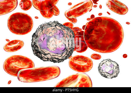 Globules blancs neutrophiles, illustration de l'ordinateur. Les ...