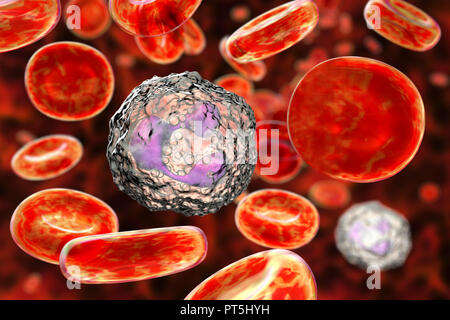 Globules blancs neutrophiles, illustration de l'ordinateur. Les ...