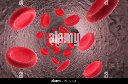 Les érythrocytes globules rouges dans l'intérieur des artères ou des ...