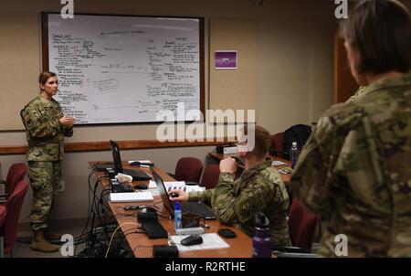 Le colonel Danielle Willis, commandant de l'escadre des opérations ...