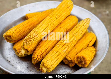 Le maïs bouilli sur un plateau d'aluminium près de maïs. Gros plan du ...