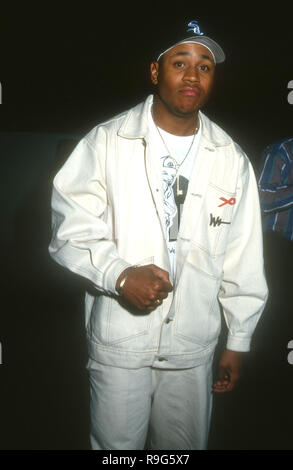 BURBANK, CA - 5 juin : le rappeur/acteur LL Cool J assiste à la ...