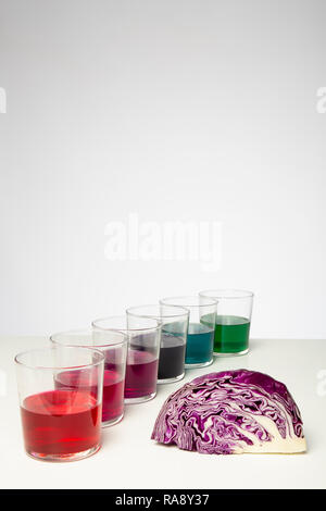 Le gradient de couleur du jus de chou rouge (indicateur de pH) en ...