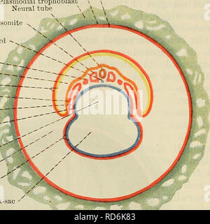 . Cunningham's Text-book de l'anatomie. L'anatomie. De trophoblaste le ...
