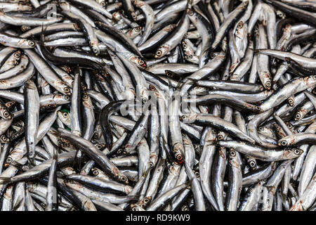 Pile de poissons frais d'anchois européen pour la vente sur le ...