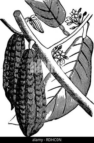 . La botanique pour les académies et collèges : composé de ...