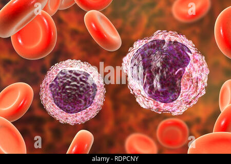 (À gauche) et des monocytes (droite) lymphocyte globules blancs dans un ...