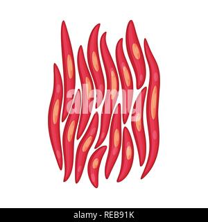 Filaments,intestinale,,science,nerveuse,multicellulaires,lisse ...