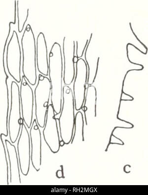 . La bryologue. Bryologie Bryologie ; -- Périodiques. Fig. 3. A. Fig ...