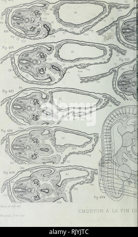 Atlas d'embryologie. L'embryologie ; l'embryologie. Mathias Duval-Atlas ...