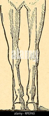 . L'agriculteur américain's horse livre ; une illustration de la ...