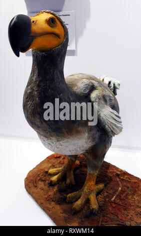 Le dodo est une espèce d'oiseau qui était endémique à l'île Maurice, à ...