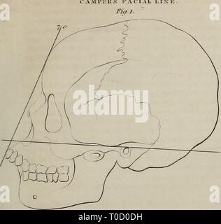 . Encyclopédie d'Édimbourg. CRANIOMETRY. Un CCXVJJf TE PL.. B COMME JE ...