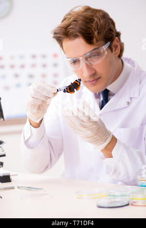 L'étude de l'entomologiste chercheur nouvelles espèces de papillon ...