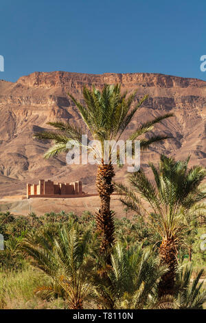 Maroc, province de Zagora, vallée de Draa, ksar d'Ouled Driss Photo ...