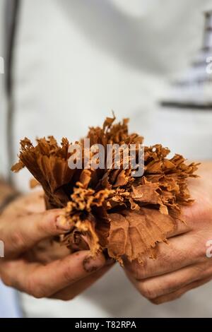 France, Rhône, Lyon, chocolaterie, Philippe Bernachon Bernachon ...