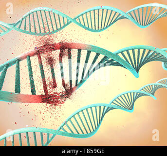 L'altération de l'ADN et mutations génétiques de la biotechnologie ...