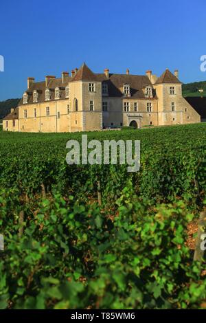 France, Côte d'Or, Bourgogne climats classés au patrimoine mondial de l'UNESCO, route des Grands ...