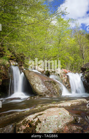 Scenic, longue exposition, cascade miniature sur un ruisseau de montagne au début du printemps ...