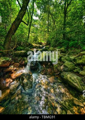 Liaoning Shenyang pierre verte La vallée du ruisseau de l'eau Débit d ...