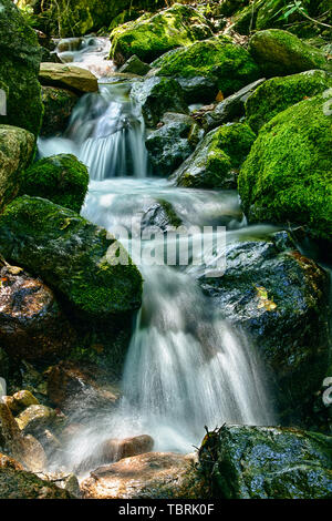 Liaoning Shenyang pierre verte La vallée du ruisseau de l'eau Débit d ...