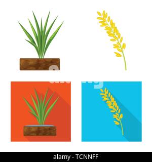 Panicule de riz grain,,feuilles,céréales,jardin,récolte,ferme ...