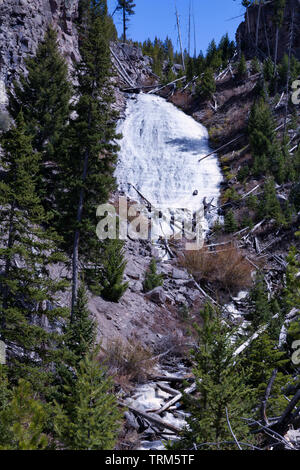 Wraith Falls dans le parc national de Yellowstone, une cascade ...