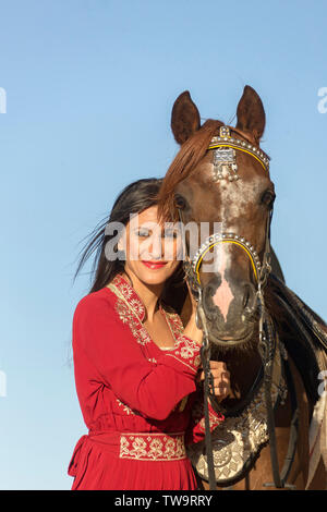 Cheval Arabe pur-sang. Étalon alezan élevage dans le désert Photo Stock ...