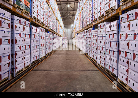 Un entrepôt industriel plein de boîtes de carton sur l'étalage Photo ...