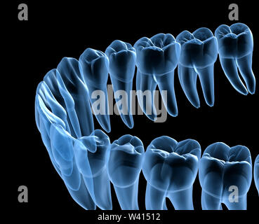Les dents et gencive mandibulaire anatomie. Dent précise médicalement 3D illustration Photo ...
