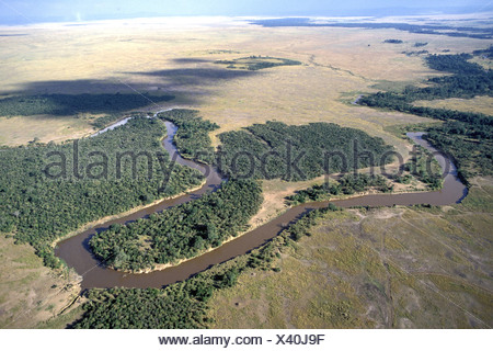 Paysage africain, savane, forêt-galerie avec vue aérienne, Kenya, Masai ...