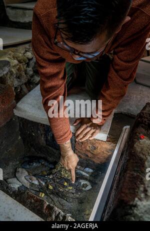 Città del Messico - 2019: resti dei templi aztechi alla Plaza de las ...