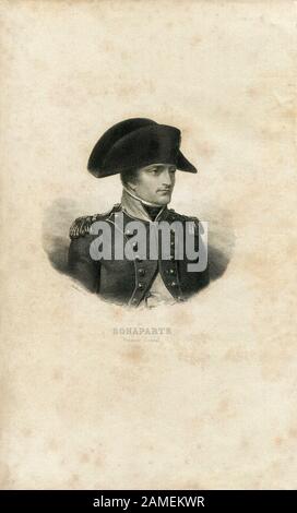 Ritratto di Napoleone Bonaparte come Primo Console. Museo: il Musée de ...