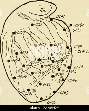 Fisiologia e Biochimica in medicina moderna . I y. Camera per animale ...