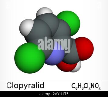 3D rendering della struttura atomo di cloro isolate su sfondo bianco ...