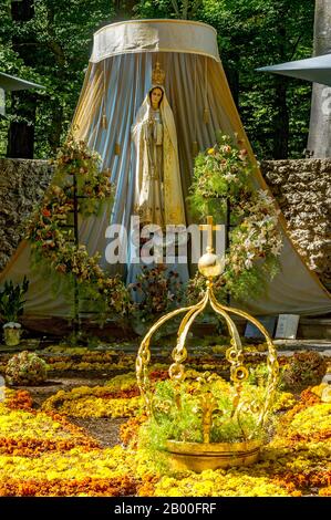 Statua della Madonna, tappeto di fiori con corona dorata della Vergine ...