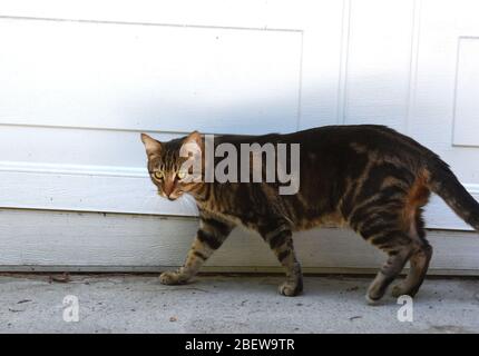 Beverly Hills, California, USA 15th Aprile 2022 una visione generale ...